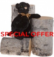 Corfe Bears - Charlie Bears, Charlie Bears Bearhouse Bears In Stock Now